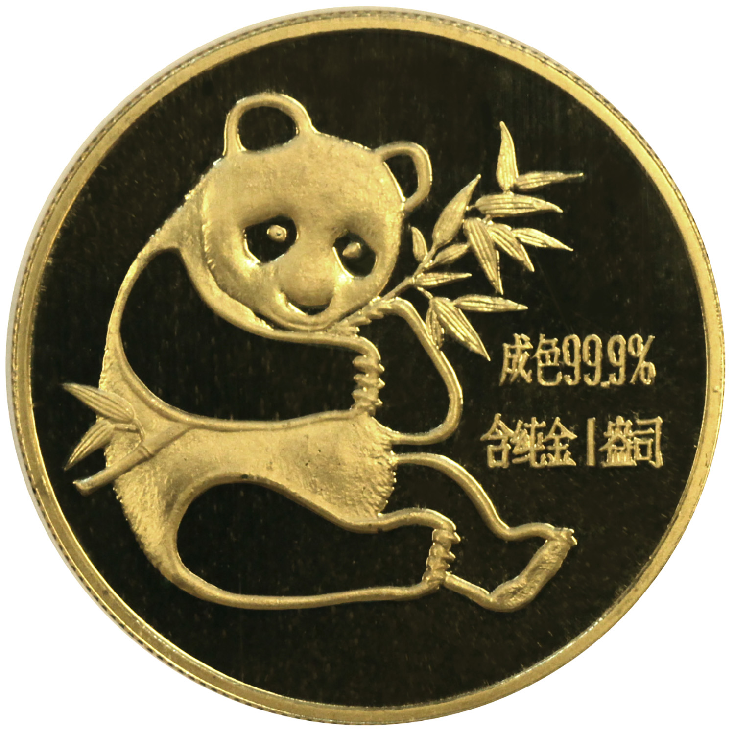 Gold Pandas: A Beginner’s Guide Gold Pandas: A Beginner’s Guide